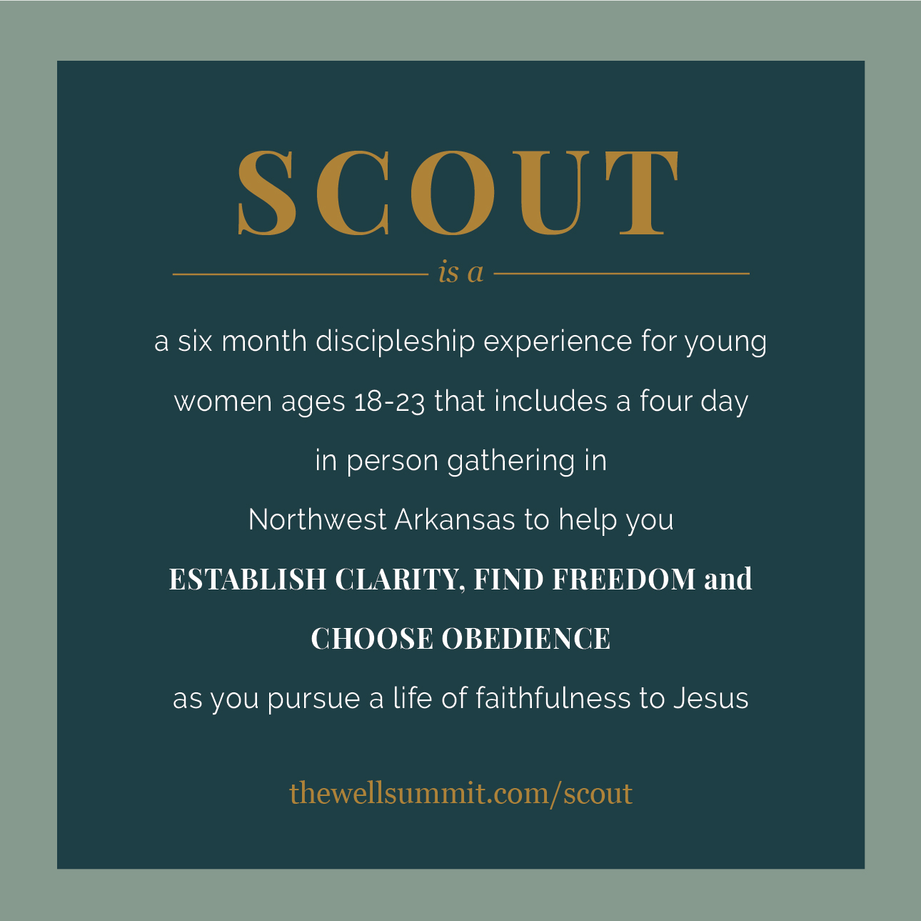 Scout for Scout - The Well Summit